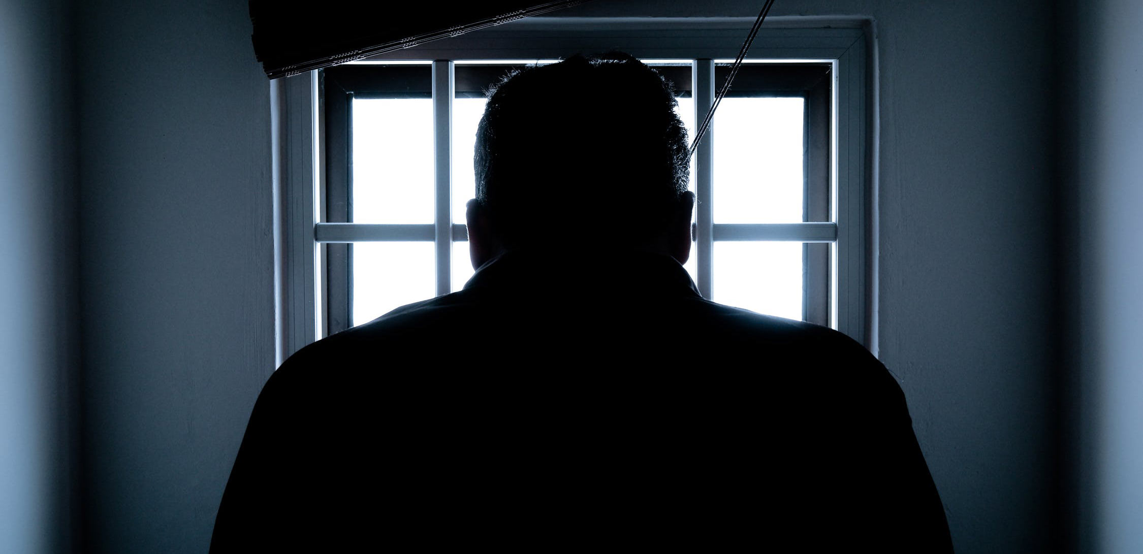 criminal-mastermind - Scam Report